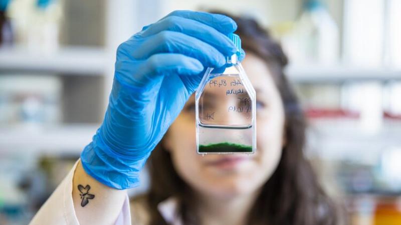 Has ‘following the science’ ever been as important as it is today ...